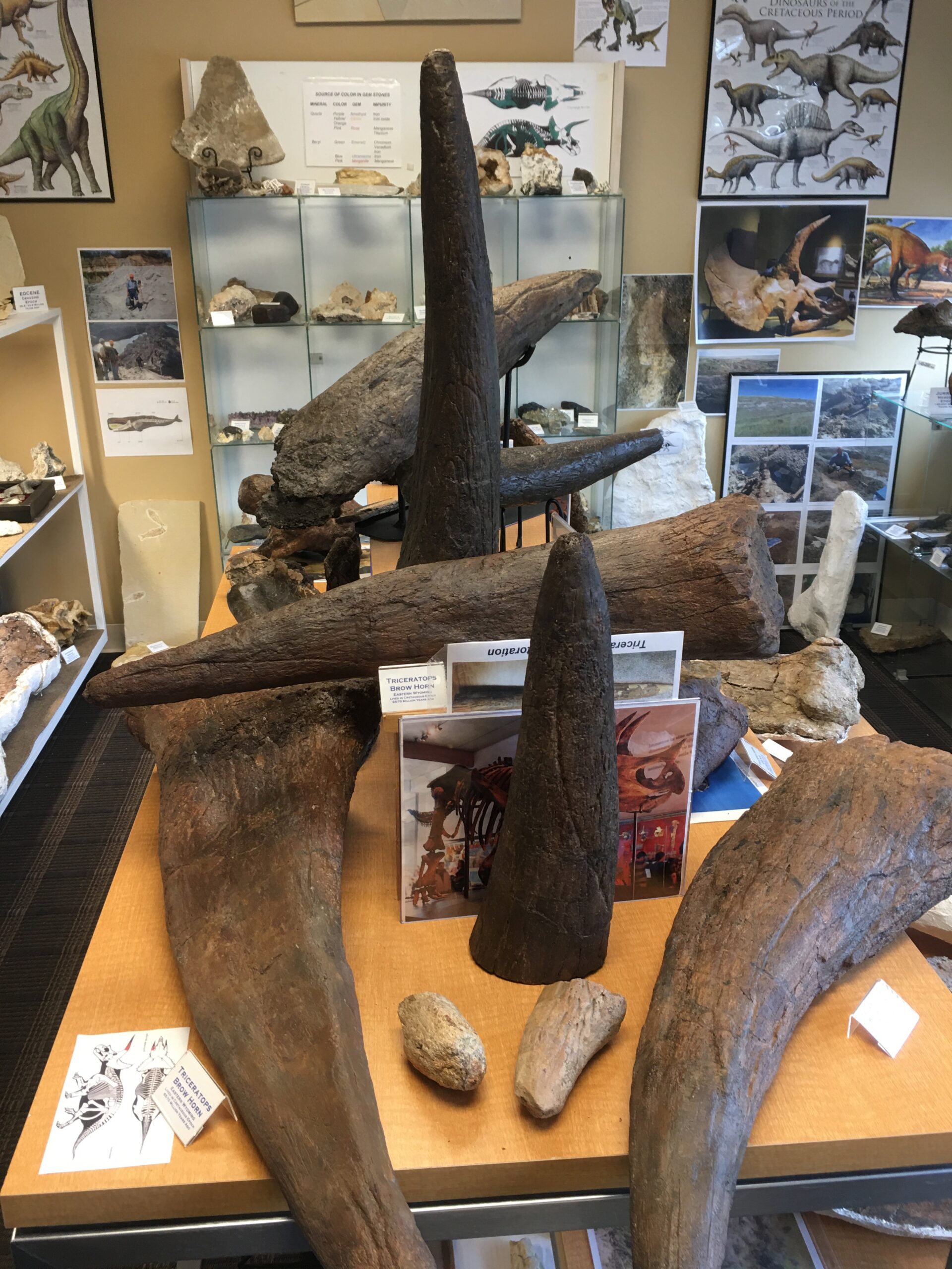 Home Page - Prairie Fossil Museum